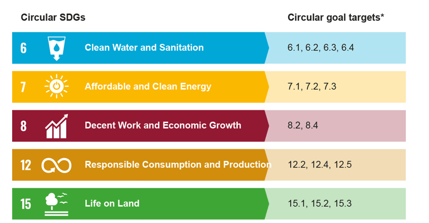 Sustainable Development Goals as a guide for circular ambitions