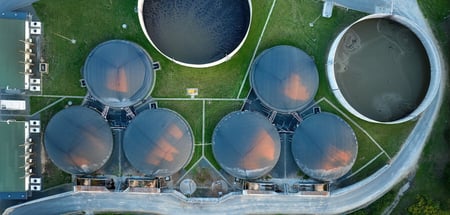 Organic waste: Practical tips and solutions