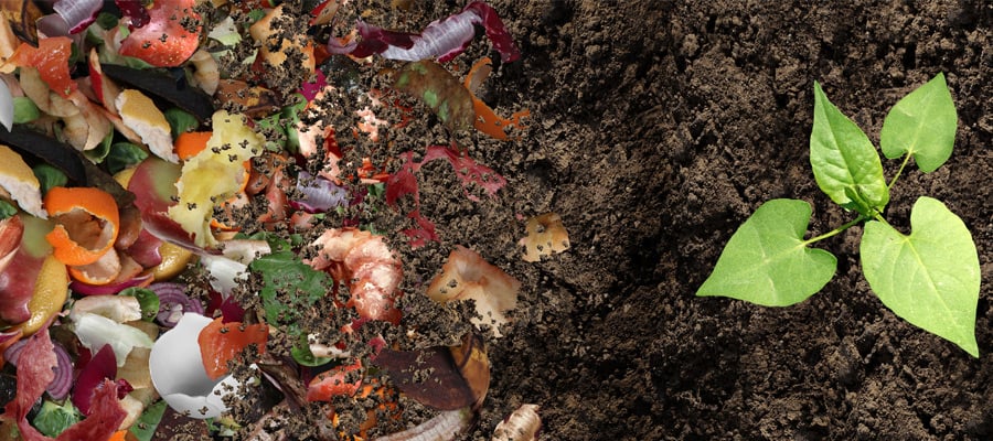 Wat is de Ladder van Moerman?