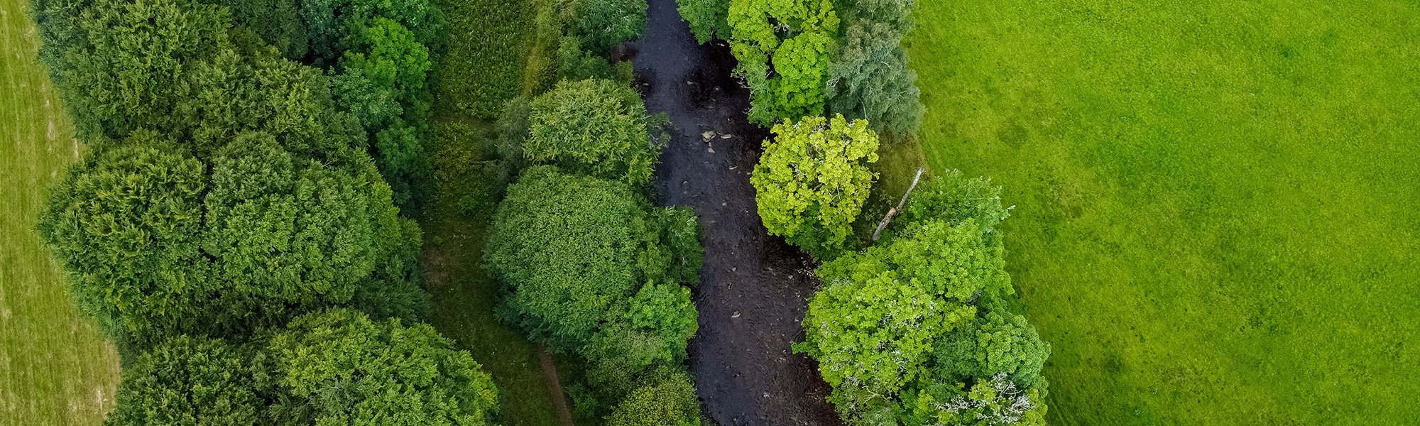 Green Deals in Nederland en België