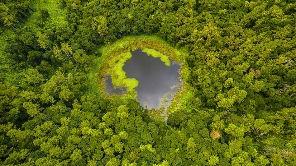 Ladder of Lansink: explanation and significance for the circular economy