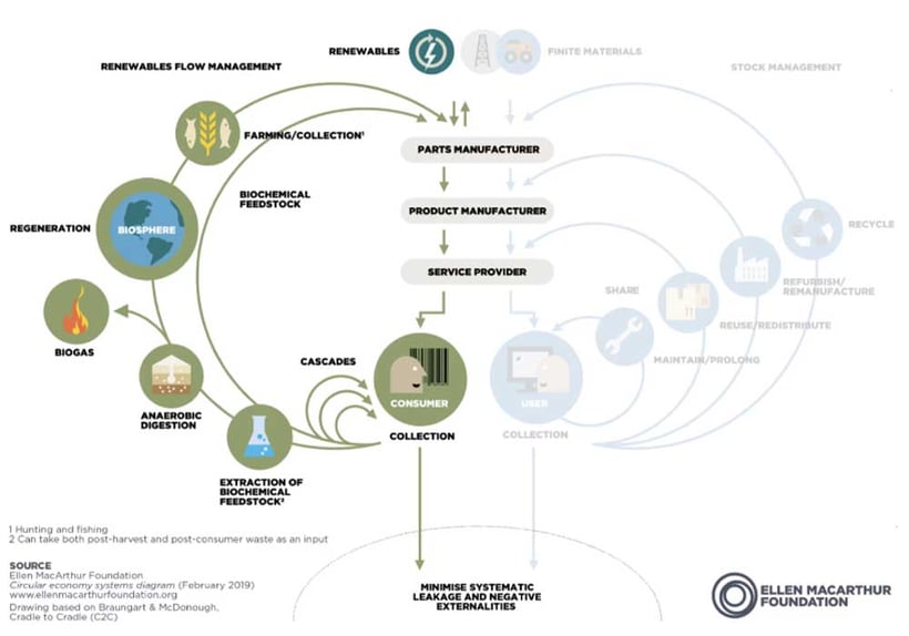Ellen MacArthur's Butterfly model explained