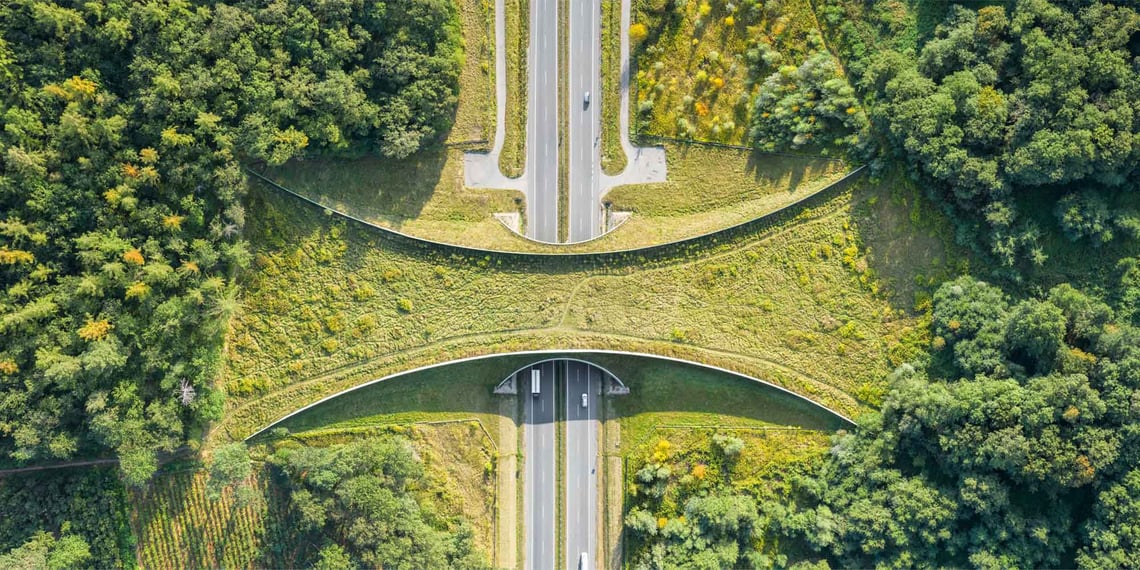 Ellen MacArthur's Butterfly model explained