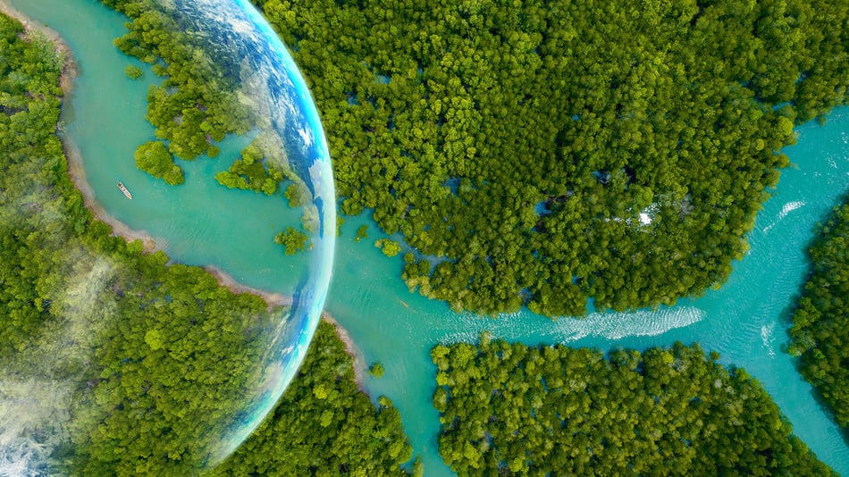 Ellen MacArthur's Butterfly model explained