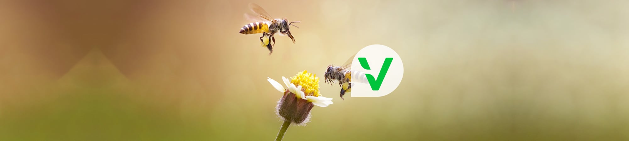 Milgro among top 15% of sustainable companies