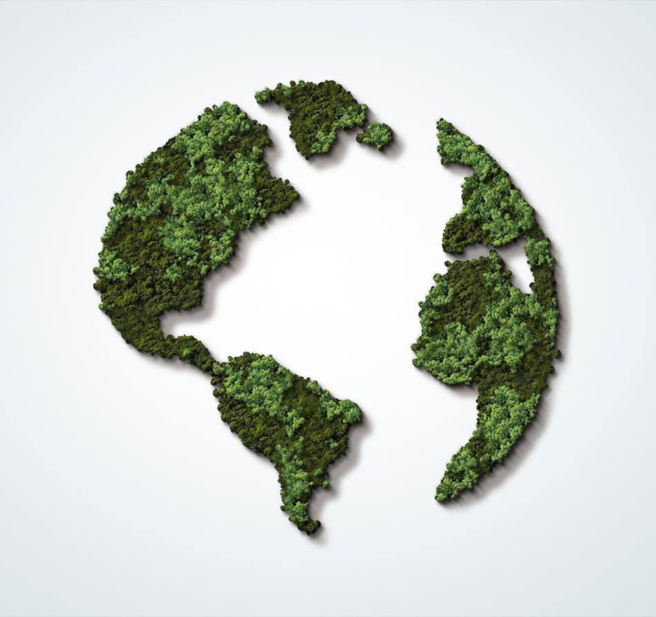 Ellen MacArthur's Butterfly model explained